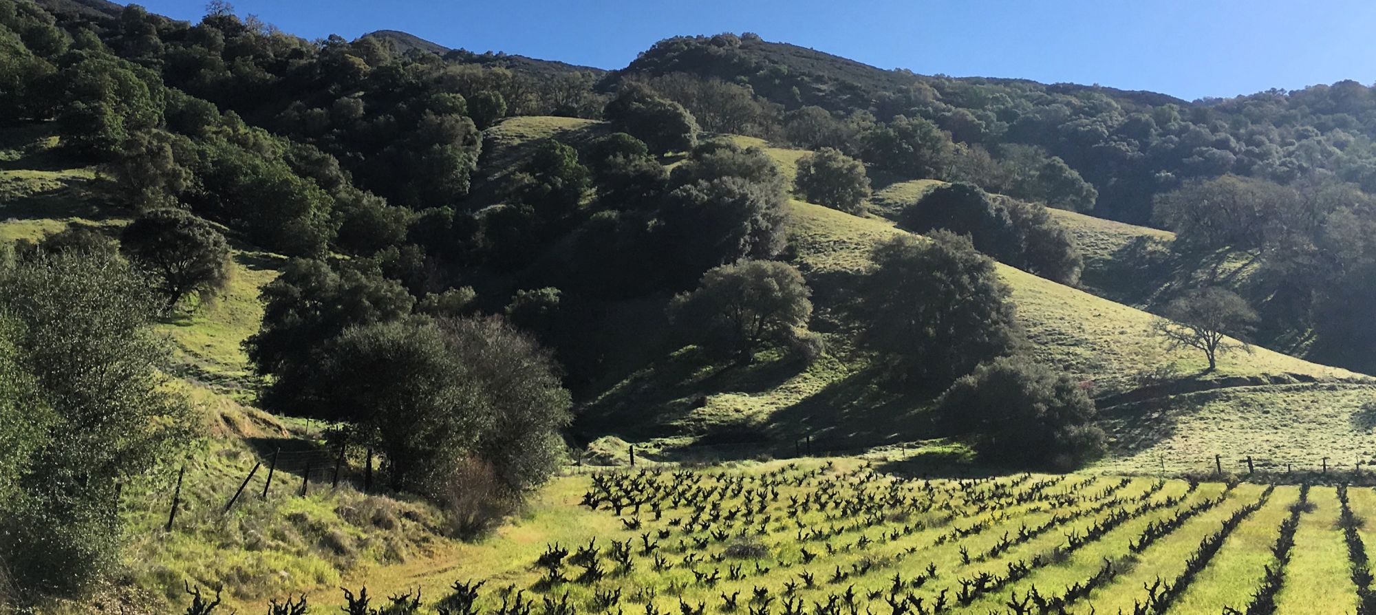 Sans Wine Company | Bowler Wine